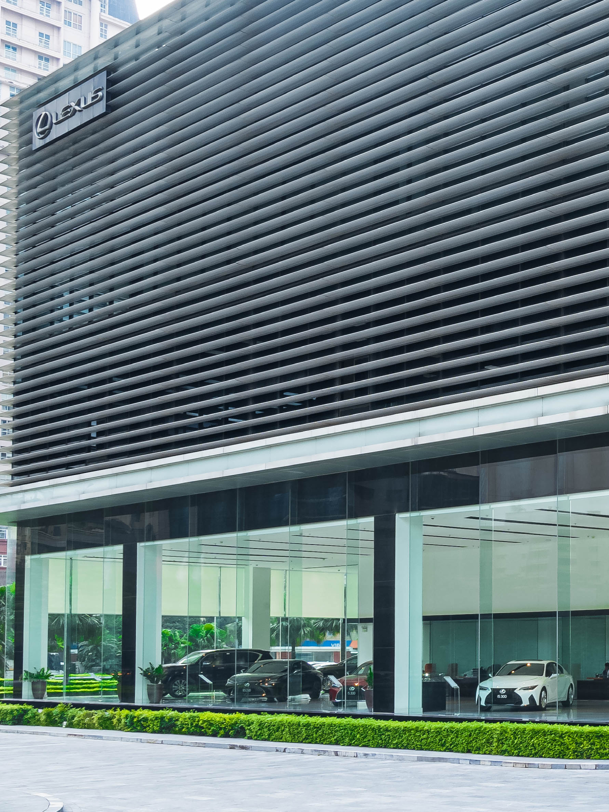 Lexus Thang Long | Luxury & Hybrid Cars | Experience Amazing